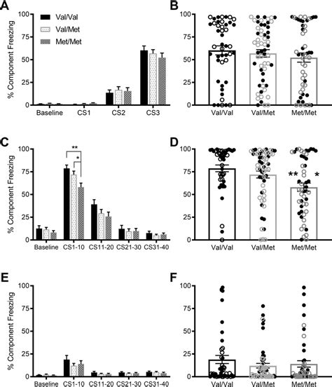 Fear Conditioning In Adult Rats Fear Learning In Adult Rats Across