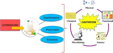 Recent Advances In The Application Of Ultrasound In Dairy Products