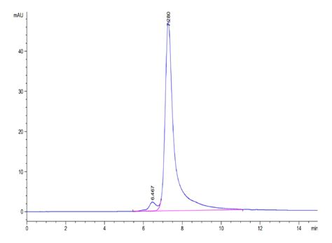 Human LY75/CD205 Protein (LY7-HM105) | KACTUS
