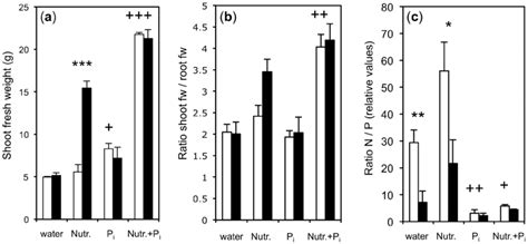 Shoot Weight Shootroot Ratio And Np Ratio As Indicators Of