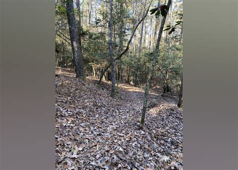 Highest Rated Campgrounds In Raleigh According To Yelp Stacker