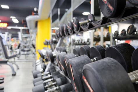 Galeri – Professional Line Fitness Center