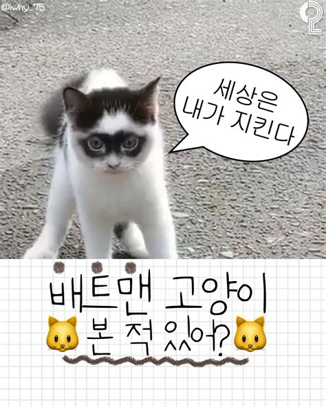 Mz연구소 챗지피티로 자소서 쓰는 명령어10 취준생들 주목