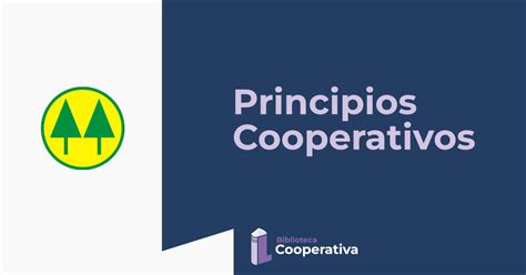¿cuáles Son Los Principios Del Cooperativismo ⇨ Top 7