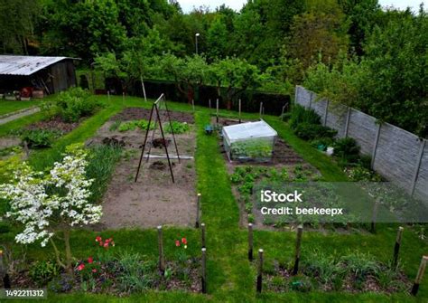 야채 재배에 사용되는 식품 포장용 수축 포장으로 만든 야채 재배용 호일 온실 채소밭 선반의 전망입니다 무와 딸기를 연속으로 뿌린다 가리기에 대한 스톡 사진 및 기타 이미지