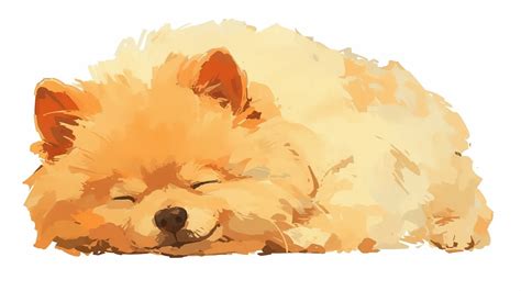 眠るポメラニアンの穏やかなひととき｜イラスト・フリー素材なら「シンテリ」