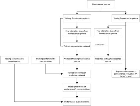 Flowchart Of The Generation Of The Augmentation Networks And The