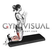 Inverse Leg Curl With Bench Pads Female