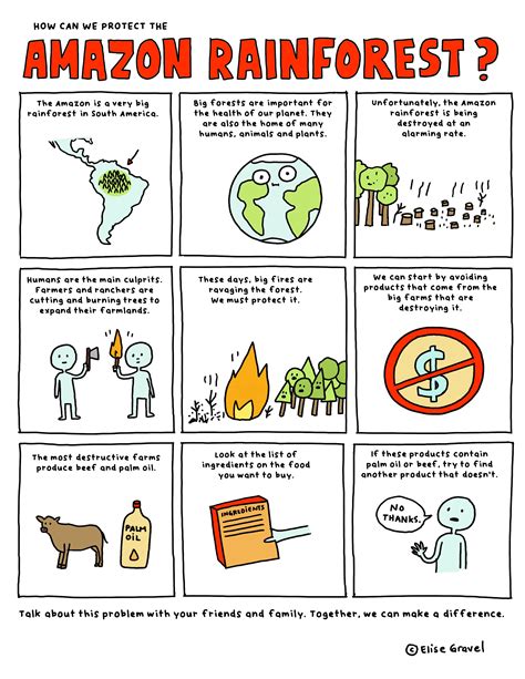 How Can We Save Rainforests