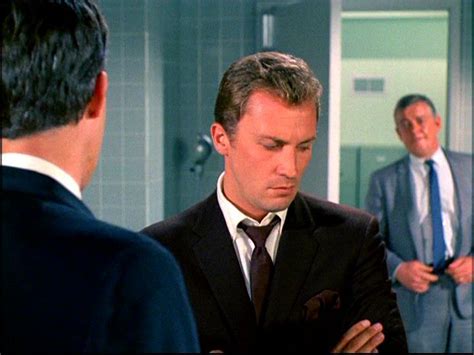 Roy Thinnes The Invaders Roy Thinnes Classic Tv People