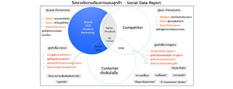 Unlocking Insight Social Data Report วิเคราะห์พฤติกรรมของลูกค้าในโลก
