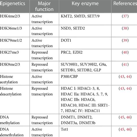 Origin And Function Of Cardiac Macrophages In The Steady State The