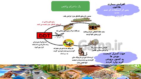 پاورپوینت انسان و محیط زیست یازدهم درس 6 تنوع زیستی، تابلوی زیبای آفرینش گاما