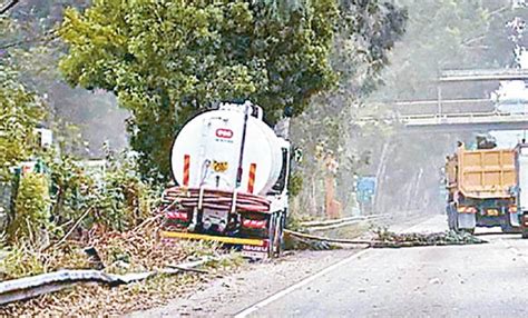 酒駕Tesla闖禍 自炒擱山坡 東方日報