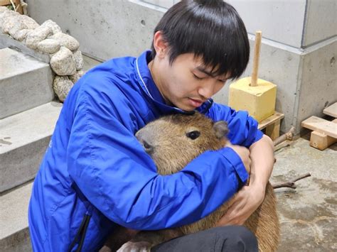 【動物園・動物飼育専攻】学園祭に向けて① 【スタッフブログ】eco日記｜名古屋eco動物海洋専門学校