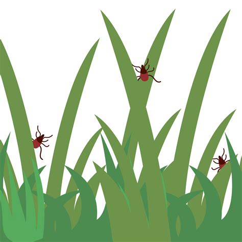 Tick In The Green Grass Flat Vector Illustration Danger Tick Bug In Grass Healthcare
