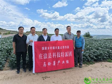 科技特派团为庄浪马铃薯产业添智增力 甘肃三农在线