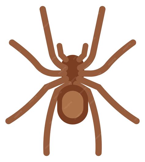 Premium Vector Spider Flat Insect Icon Arachnid Color Symbol