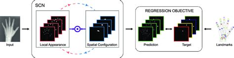 Anatomical Landmark Localization By Regressing A Heatmap For Each