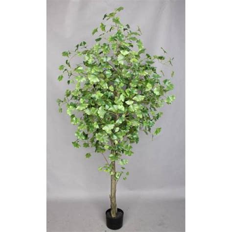 Corel Planta Decorativa Corel Arbol De Ginko 180cm