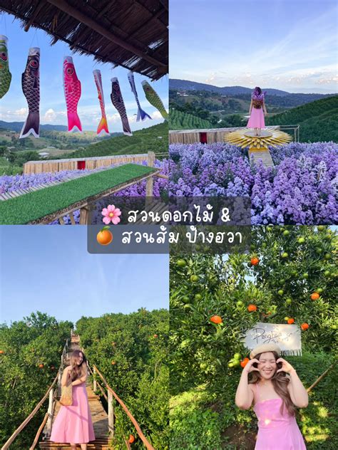 ไปไหนดี จุดเช็คอินเชียงใหม่ เดินสับๆที่ “ประตูท่าแพ” 🏰🕊 📍 แกลเลอรีที่โพสต์โดย Journeyyyme