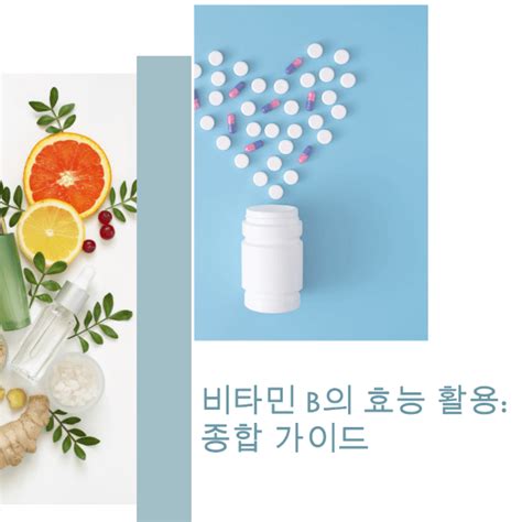 비타민 B의 효능 활용 종합 가이드 23 63
