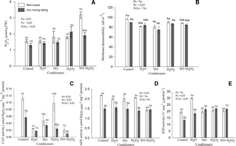 Endogenous Hydrogen Peroxide Levels A Membrane Thermostability B