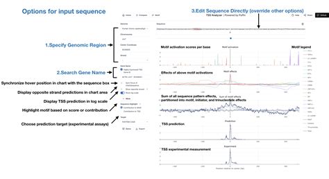 Tss Analyzer Powered By Puffin