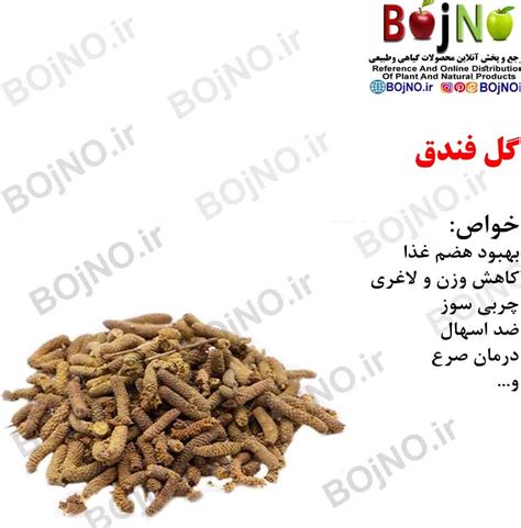 عکس های طبیعت