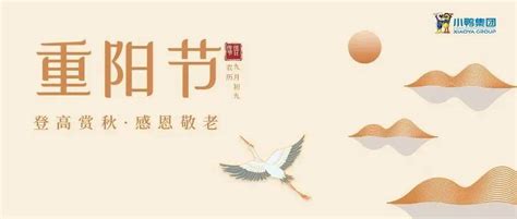 重阳节 登高赏秋感恩敬老 菊花