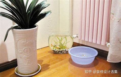 开空调房间了究竟要不要放盆水？专家说完，我就知道我没做错 知乎