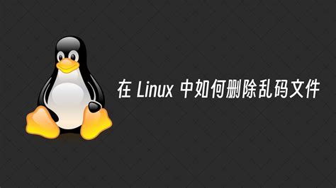 在Linux中删除无法删除的文件 YouTube
