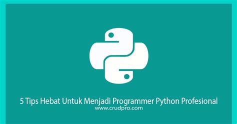 Tips Hebat Untuk Menjadi Programmer Python Profesional CRUDPRO