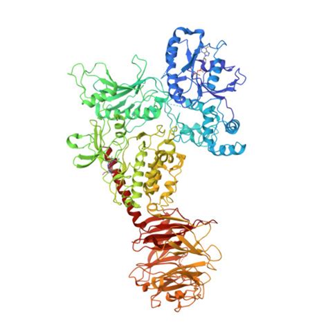 Rcsb Pdb 8u7h Cryo Em Structure Of Lrrk2 Bound To Type I Inhibitor