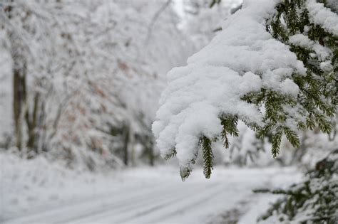 Weekend Winter Storm Could Bring Up To 10 Inches Of Snow And Some Ice
