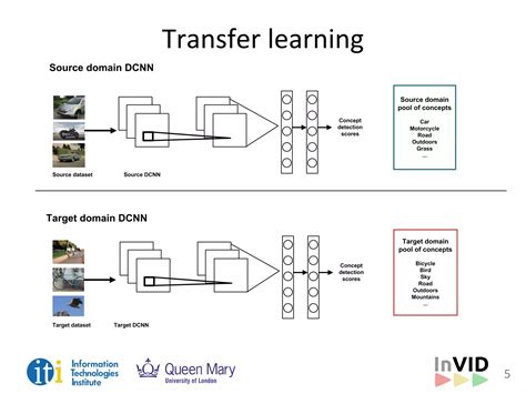 Comparison Of Fine Tuning And Extension Strategies For Deep