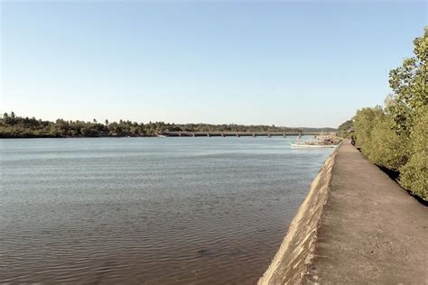 Bicol Firefly Donsol River Tour Harga Promo Terbaru 2023