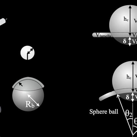 A Schematic Diagram Of Experimental Setup B Schematics Of