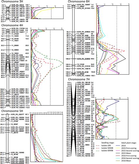 Chromosomes With Significant Qtl For Net Blotch Resistance With Lod