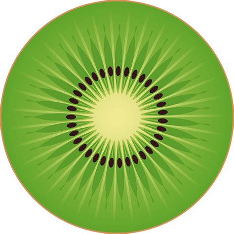 Kiwi Slice By Rones Free Vector Clipart Images On
