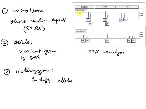Solved The Image Above Is The Str Analysis From Two Suspects Who Left