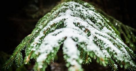 Winter In Denmark Imgur