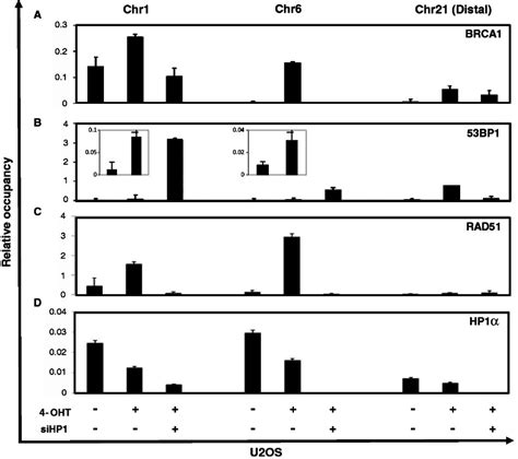 Hp1 Dependent Recruitment Of Brca1 To Dsb Sites Asisi Er U2os Cells
