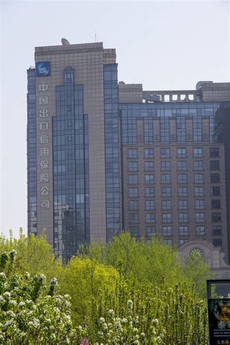 Sinosure компания деятельность чем известна — РУВИКИ