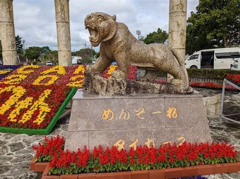 阪神タイガース春季キャンプへ ふくとものブログ「ふくともの果てなく続くストーリ－」