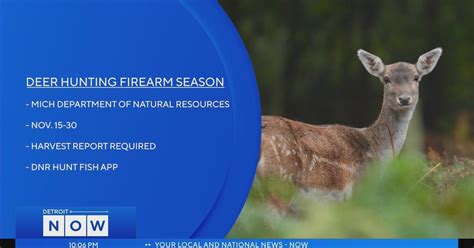 Michigans Firearm Deer Hunting Season Begins Nov 15 Cbs Detroit