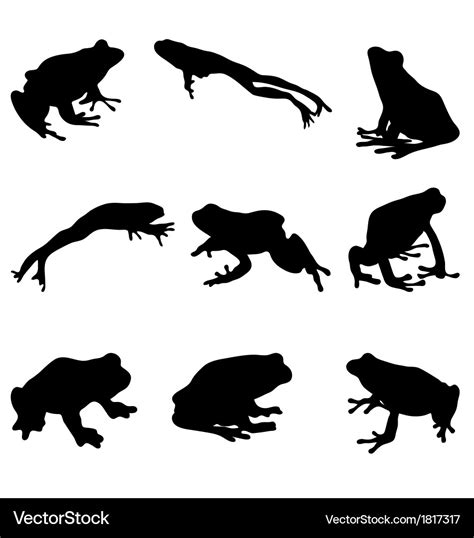 Frog Outline Vector Images Over 3 500