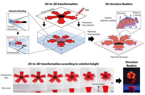 Easy 3d Objects To Draw 5 Ways To Draw 3d Shapes Wikihow