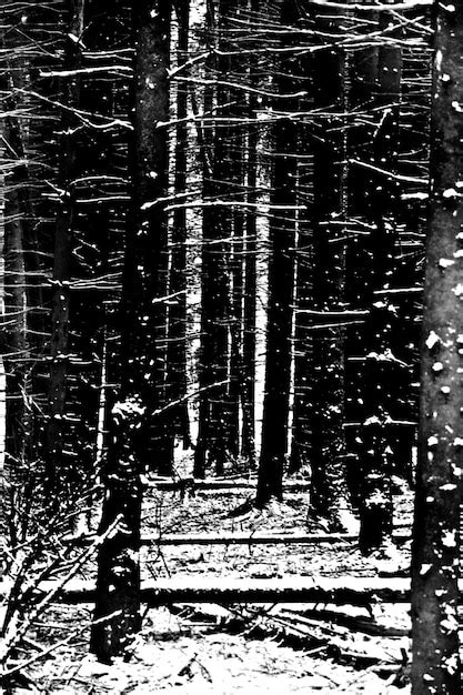 Premium Photo Trees On The Ground