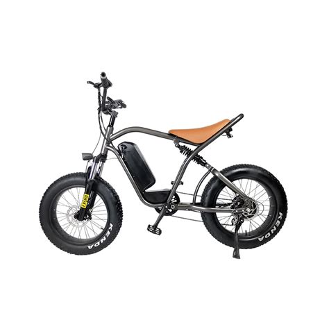D Ctb2电动自行车20英寸胖轮胎越野ebike 750w 48v强力电动山地自行车成人骑行电动自行车 Buy 电动自行车电动山地